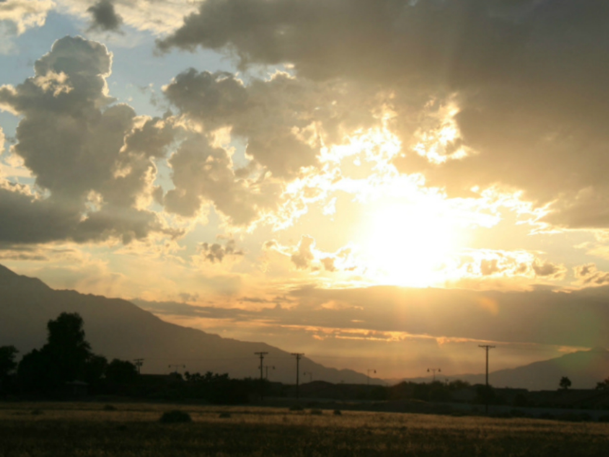 Exploring California’s desert city: Palm Springs | Times of India Travel