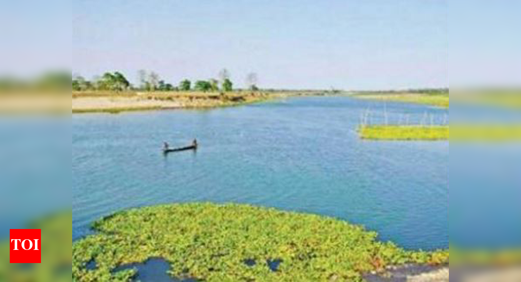 Majuli to be India's first ever carbon neutral district - Times of India