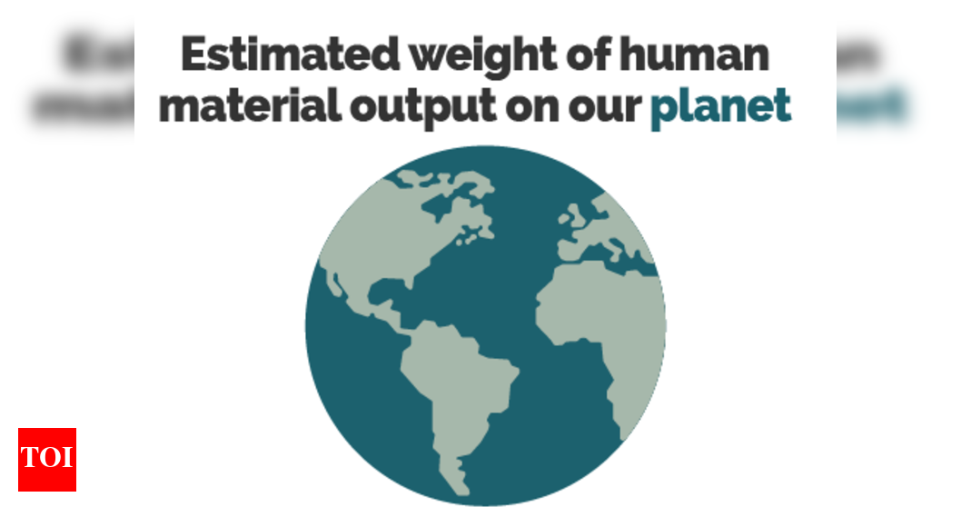 Infographic: The weight of the human world on Earth - Times of India