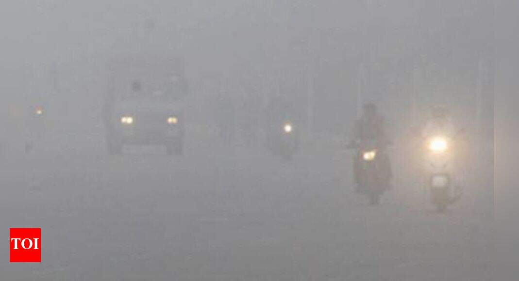 Fog makes a comeback, cold winds sweep Lucknow | Lucknow News - Times ...