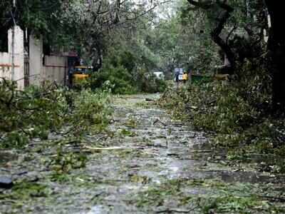 After Cyclone Vardah, 44,000 tonnes garbage, trees, debris generated in ...