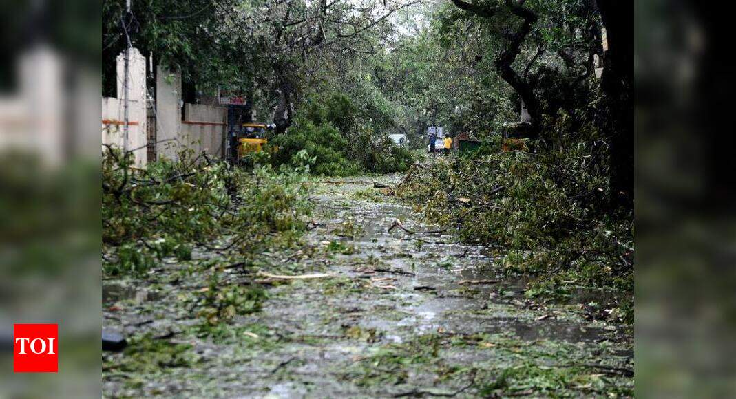 After Cyclone Vardah, 44,000 tonnes garbage, trees, debris generated in ...