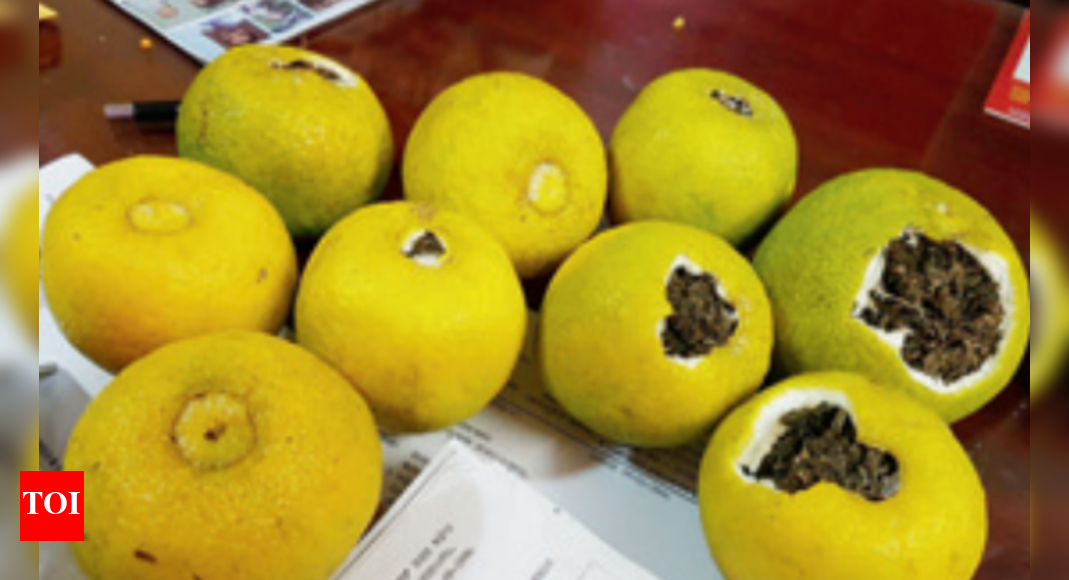 Ganja Seized: Trio supplied ganja to convicts in mosambi and biryani ...