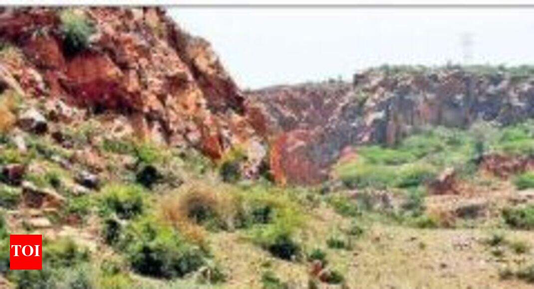 Entire Aravali may get forest tag | Gurgaon News - Times of India