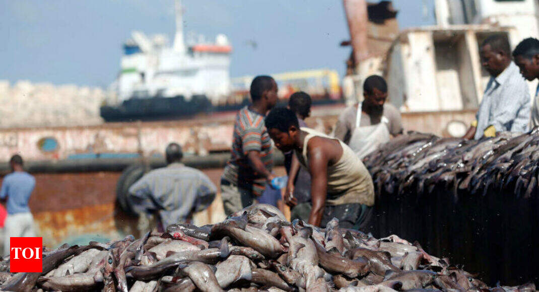 47 of 68 fish species in India under threat, says study - Times of India