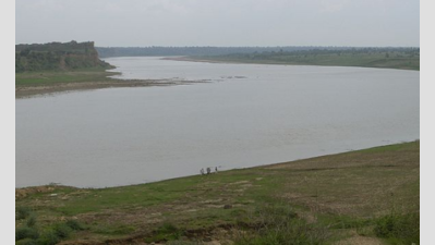 Can MP and Rajasthan give up 10% of water share in Chambal river, NGT ...
