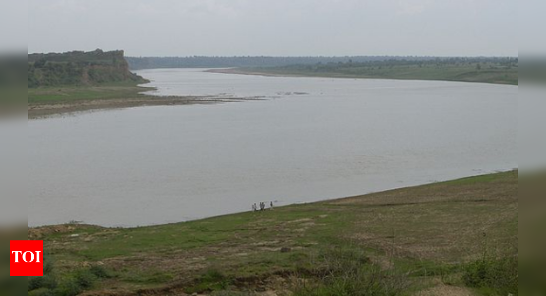 Can MP and Rajasthan give up 10% of water share in Chambal river, NGT ...