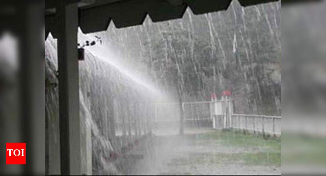 Rainfall: Delta districts get intermittent rain, may not help crops ...