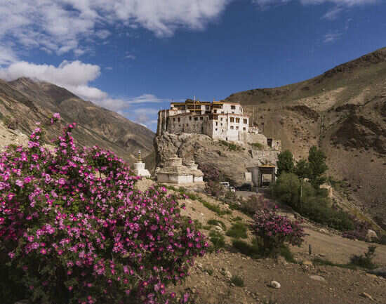 Bardan in Kargil | TimesTravel