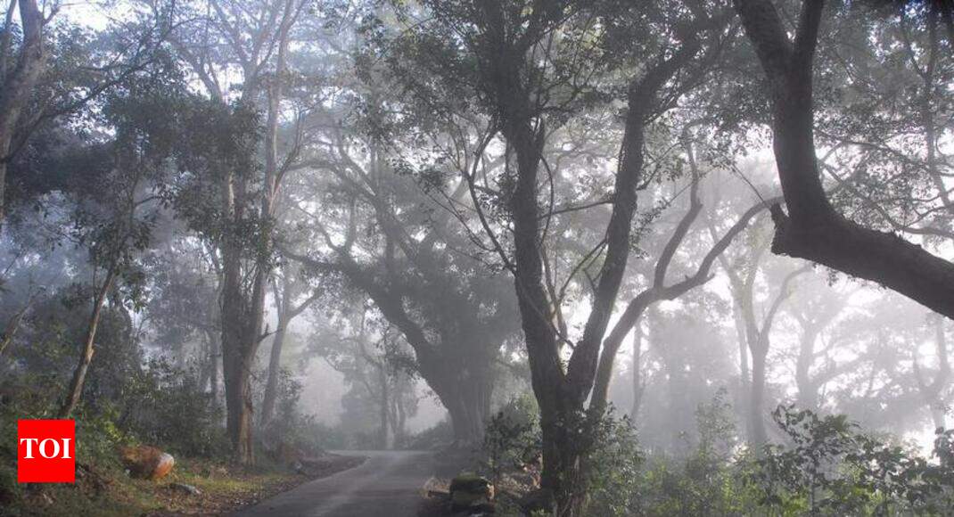 weather report: Temperature dips to 2C at Lammasingi | Visakhapatnam ...