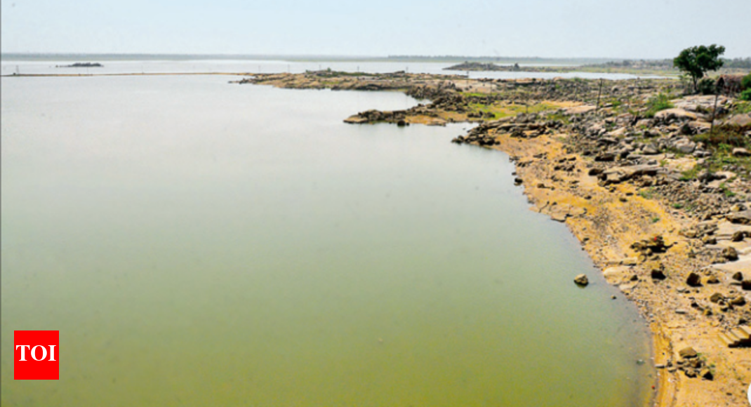hyderabad lakes: Extinction alert: 90% Hyderabad lakes are cesspools ...