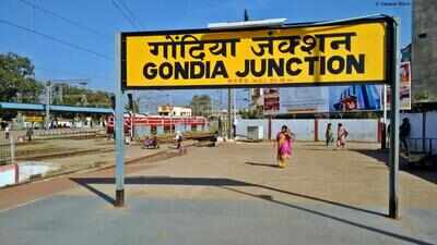 gondia - Times of India