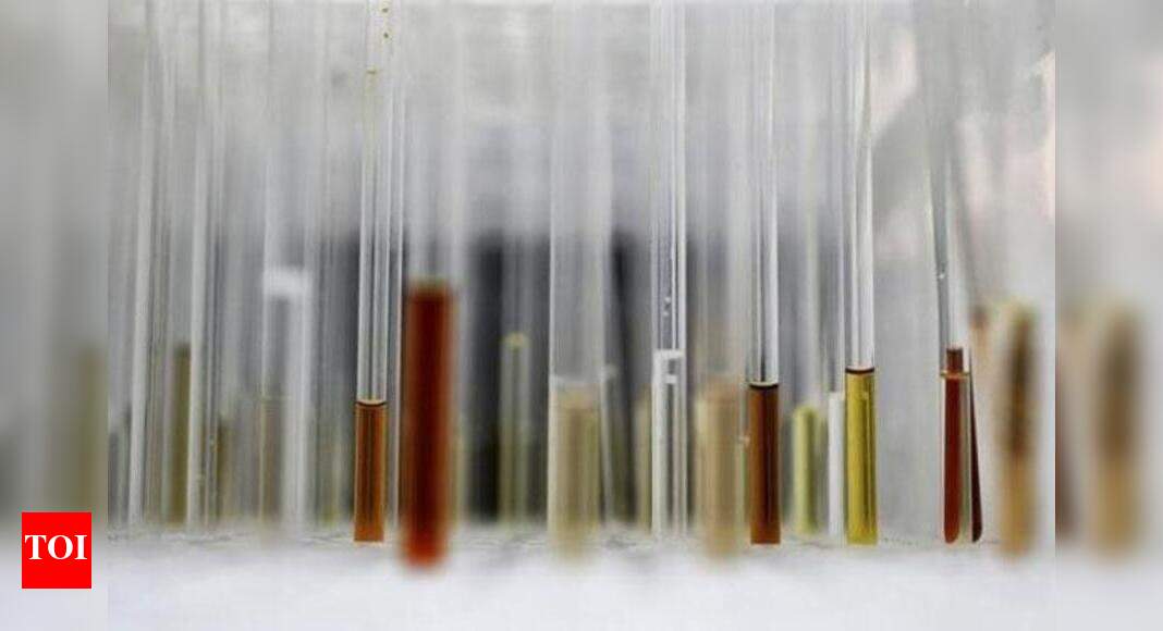 National Children’S Science Congress: Over 700 projects showcased at ...