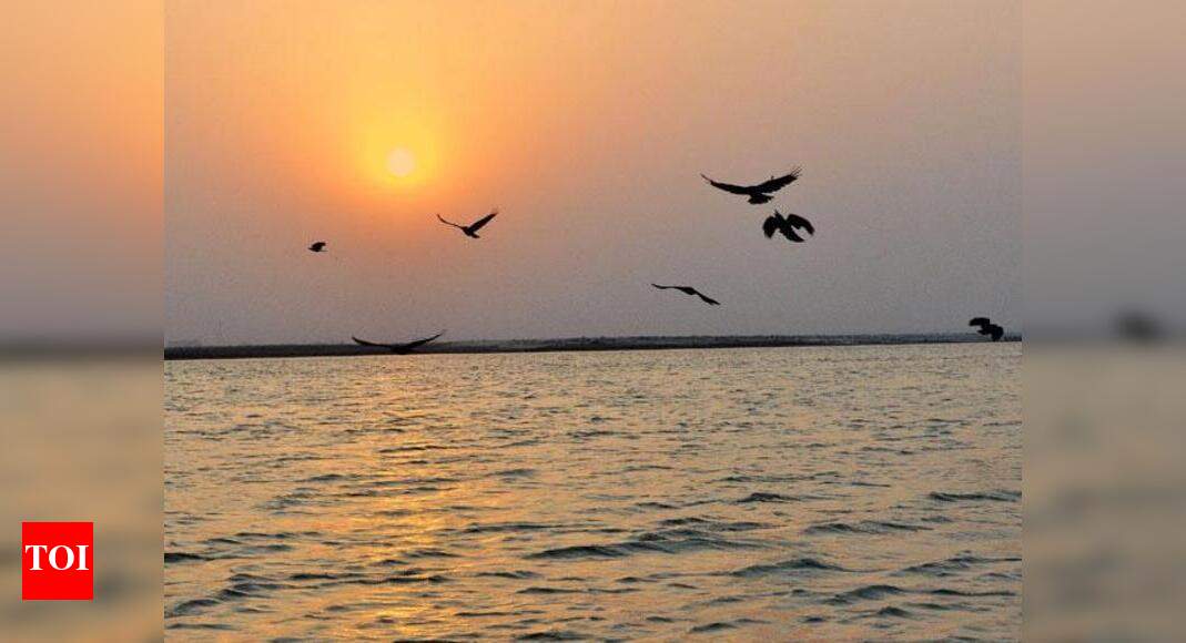 New projects approved to clean Ganga | India News - Times of India