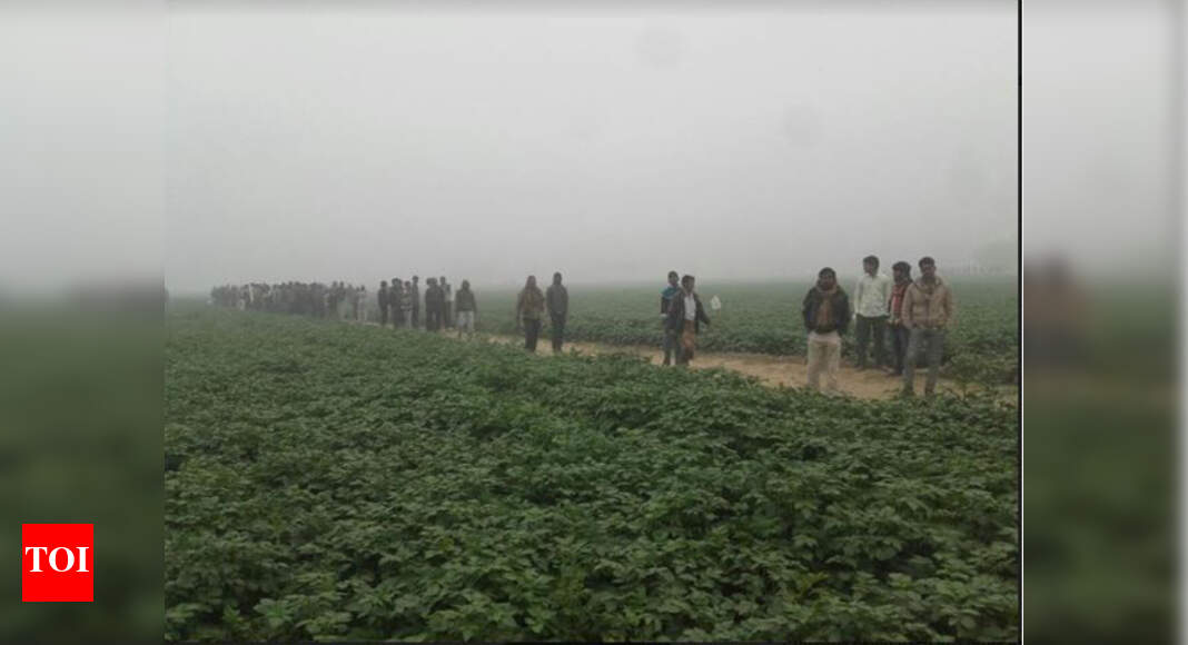 Leopard Attack: Five injured in leopard attack in Agra | Agra News ...