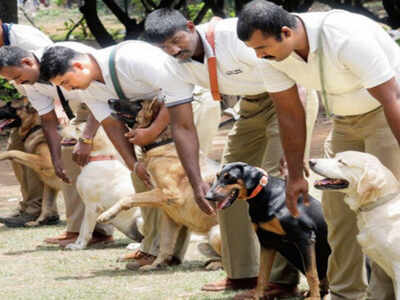 Understaffed and overworked, dog squad needs double strength ...