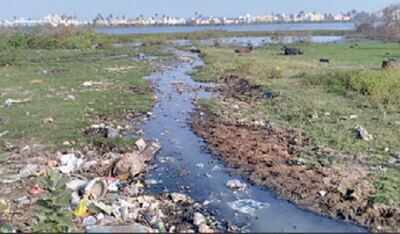 Chennai: Sembakkam lake, a de facto dumping ground, to be restored ...
