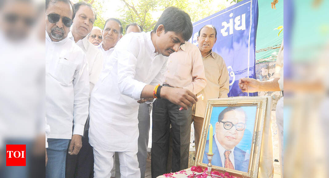 Alpesh Thakor : Alpesh takes U-turn, calls off plans to disrupt VGGS ...