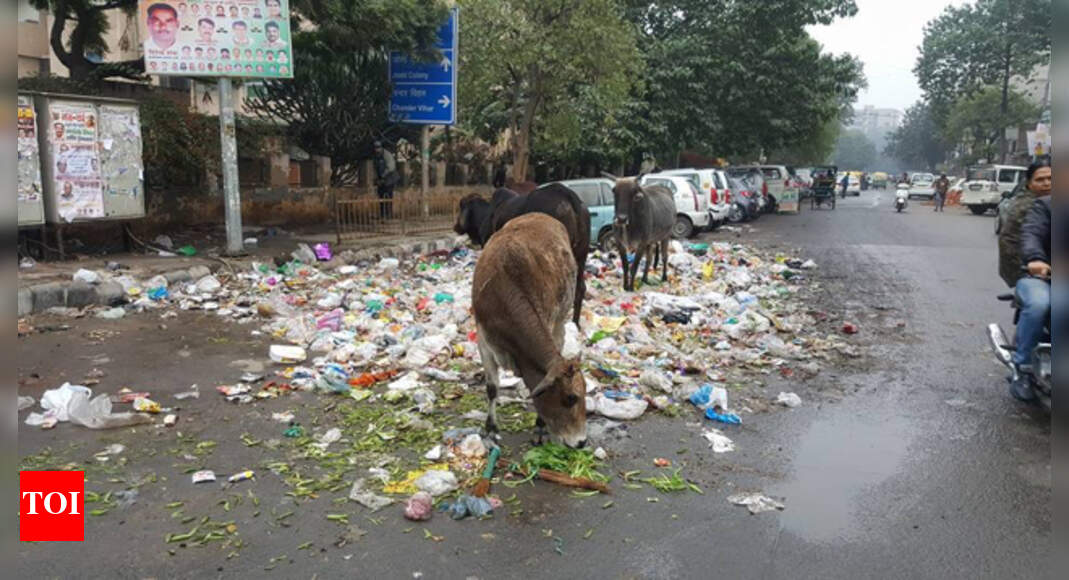 East Delhi’s garbage problem- Gurdwara Road, I P Extension - Times of India