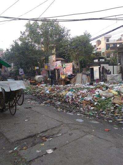 East Delhi’s garbage problem- Sanjay Park - Times of India