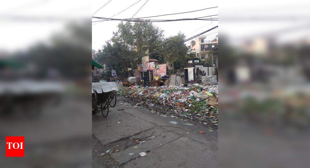 East Delhi’s garbage problem- Sanjay Park - Times of India