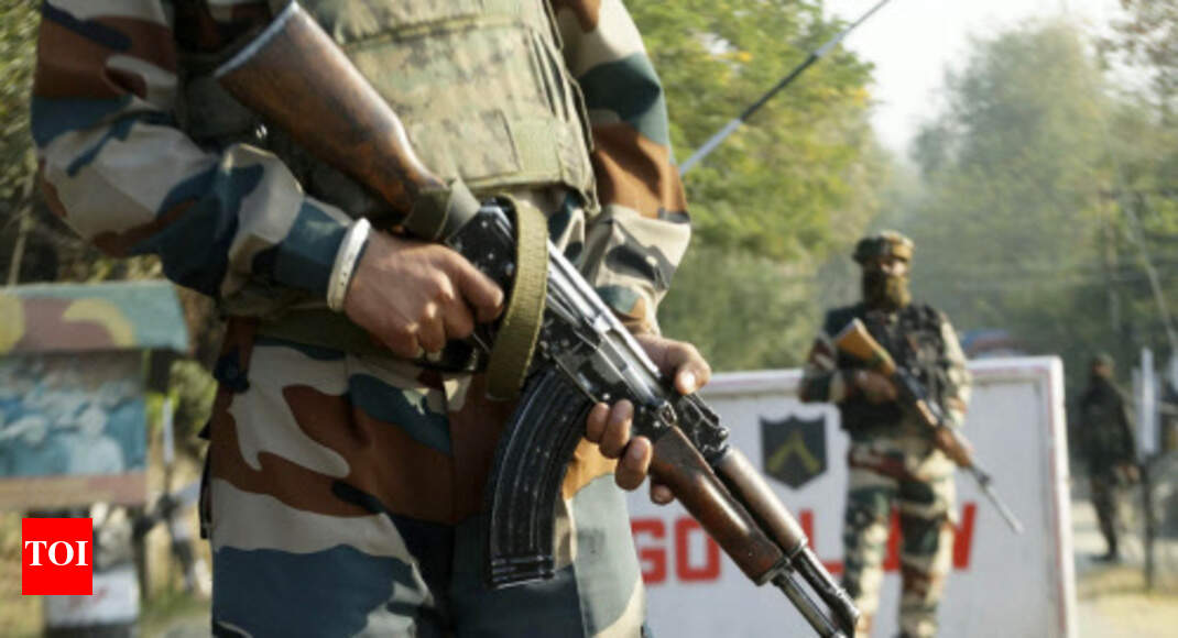 BSF jawan's allegations: Made to do 20 hours of duty instead of 8 ...