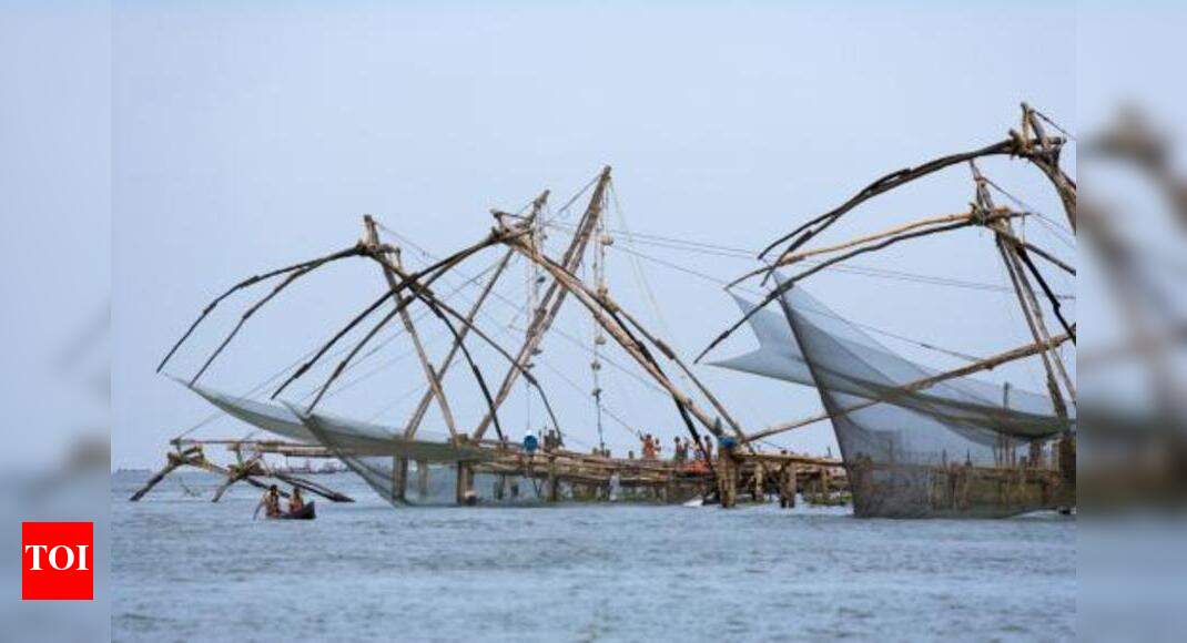 Kochi - Times of India