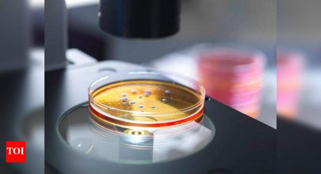 Delhi superbug death in US spooks doctors | Delhi News - Times of India