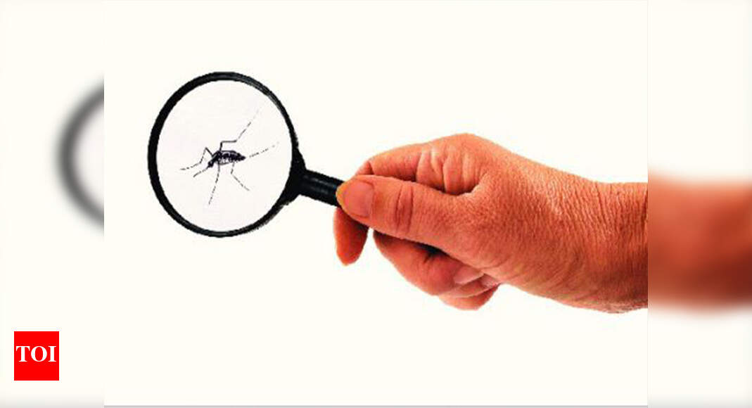Mosapp, an app to map dengue outbreaks | Kochi News - Times of India