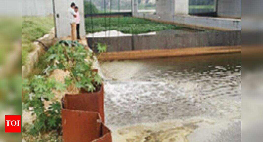 Kochi Irrigation Department: Kochi irrigation department to open ...