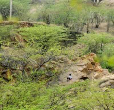 Delhi Ridge to get fixed boundaries | Delhi News - Times of India