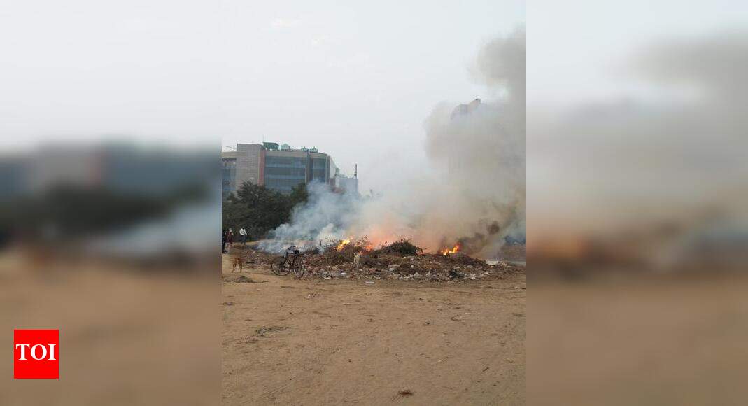 Ggn: Fearless waste burning - Times of India