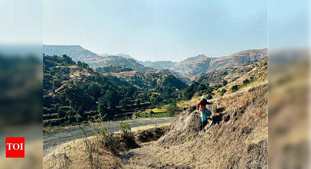 Displaced Diddalli tribals will get sites by month-ends, says DC ...