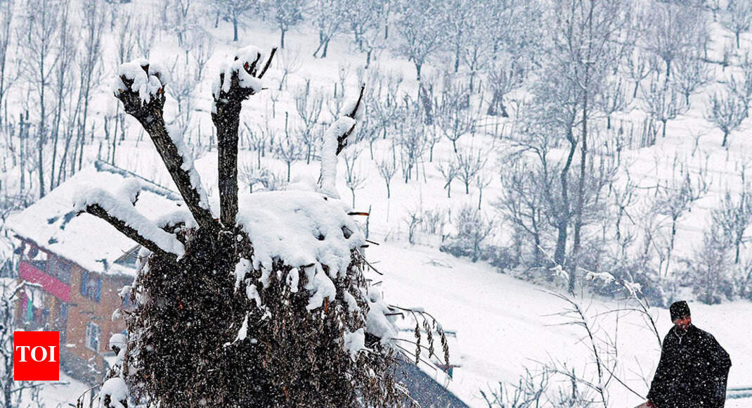 Heavy snowfall: Heavy snowfall likely in hills of Uttarakhand and from ...