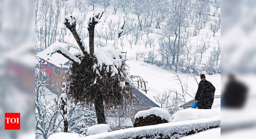 Heavy Snowfall: Heavy snowfall likely in hills of Uttarakhand and from ...