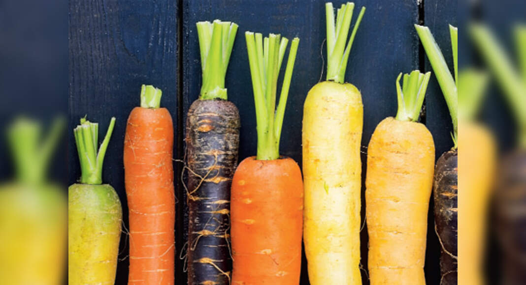 Back to roots – Food & Recipes