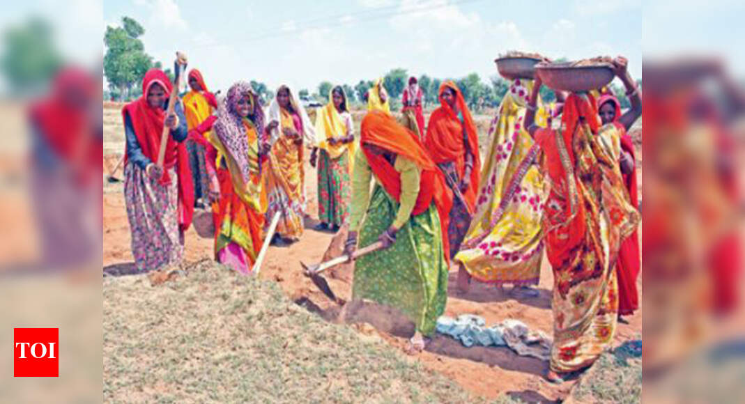 Geotagging enabled for NREGA schemes in Rajasthan | Jaipur News - Times ...
