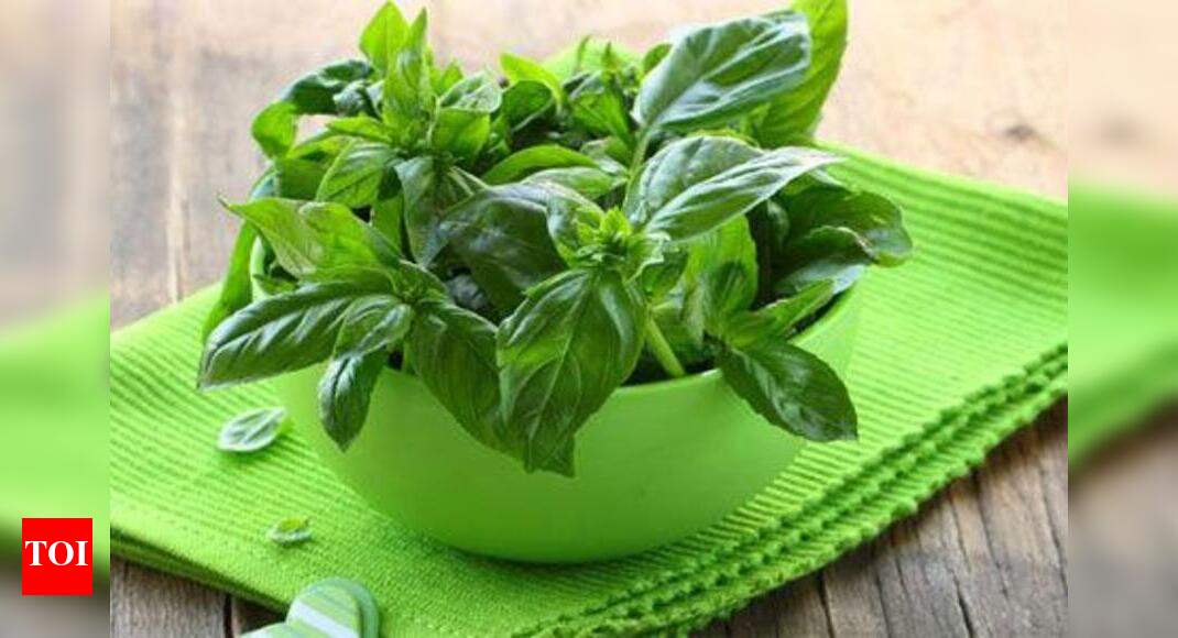 How to Use Tulsi Leaves