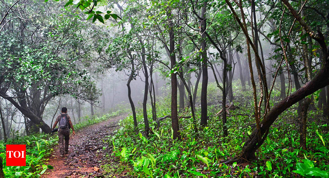 Nallamala forests: Andhra Pradesh government moots zoological park in ...