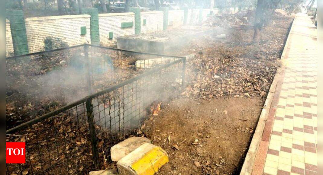 Dry leaves burned outside MES, Delhi Cantt - Times of India