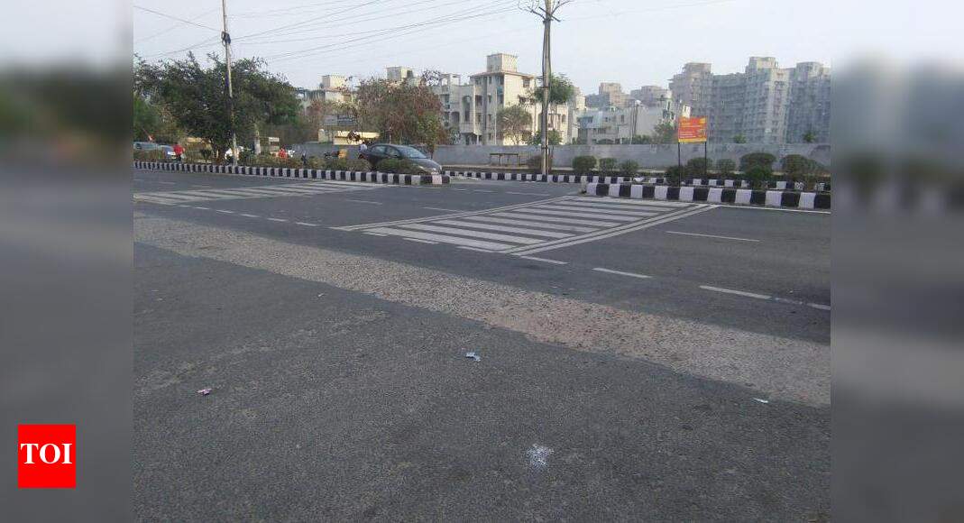 Wild zebra crossing - Times of India