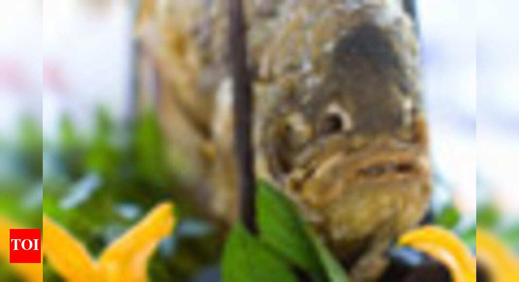 Fish to fight malaria in Meghalaya - Times of India