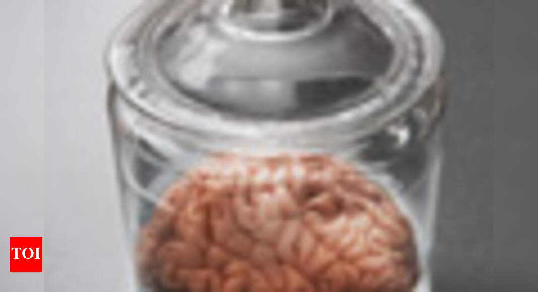 Mummified child brain to help read thoughts - Times of India