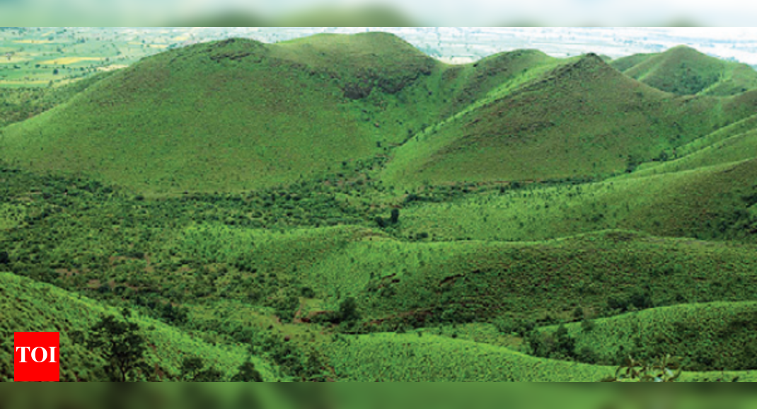 Encroachment: 765 hectares of Kappatagudda forest encroached upon ...