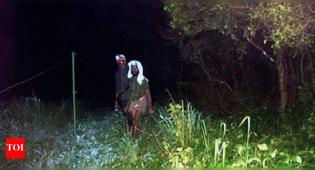 Forest camera traps are catching more than big cats | Kozhikode News ...
