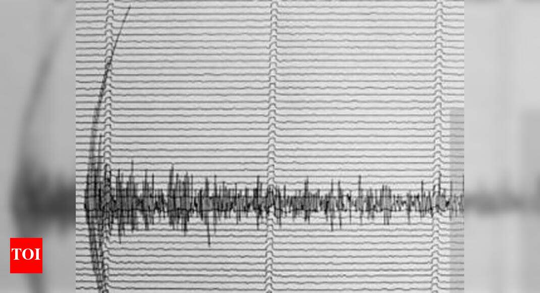 Mild earthquake shakes Assam | India News - Times of India