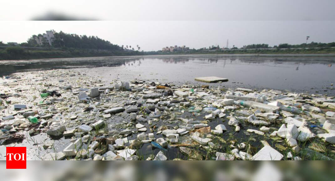 Residents celebrate Perungudi Lake fest | Chennai News - Times of India
