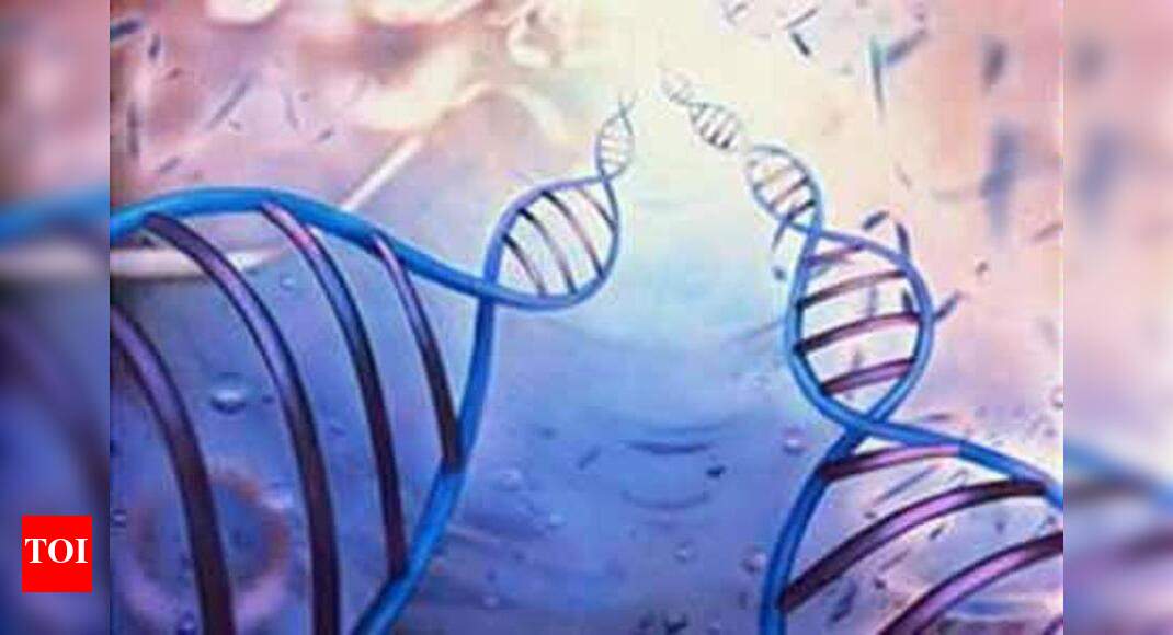 First Indian genomics beacon launched in UK - Times of India