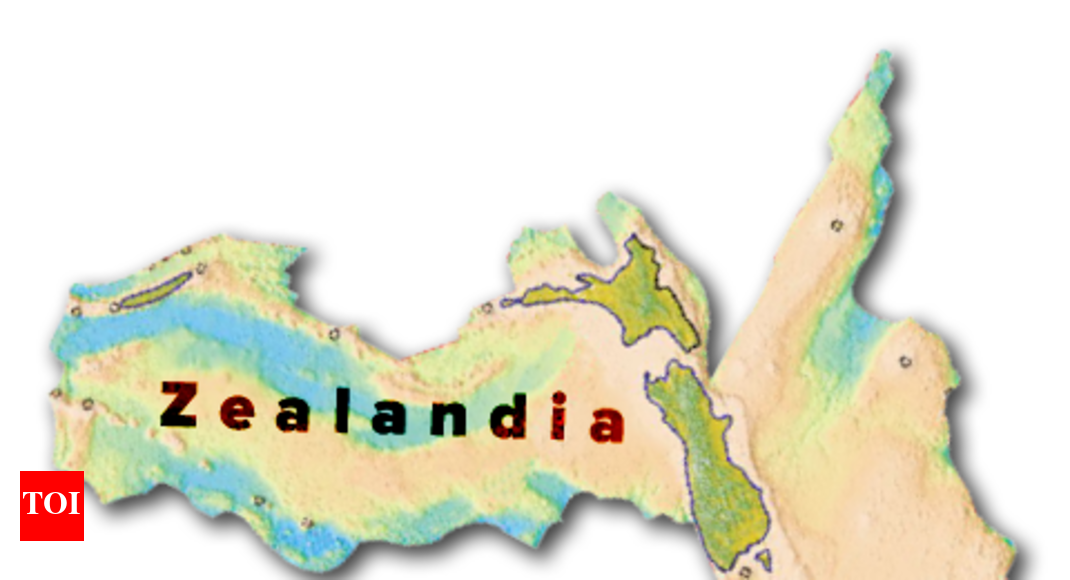 Zealandia – The Eighth Continent - Times of India