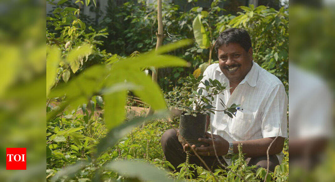 This bus conductor has planted more than 3 lakh saplings till date ...